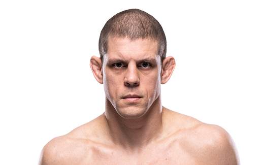 Joe Lauzon | UFC