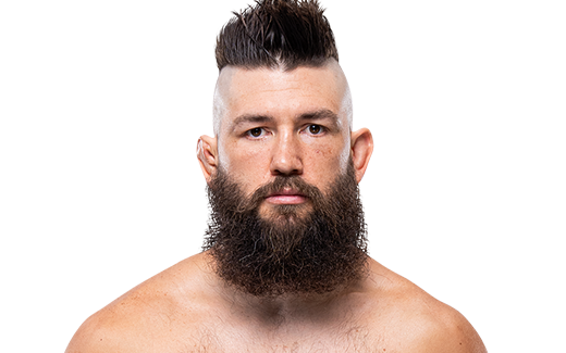 Bryan Barberena | UFC