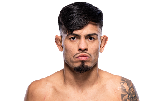 Brandon Royval | UFC