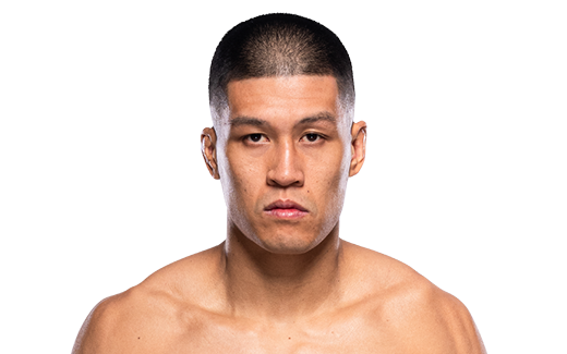 Steven Nguyen | UFC