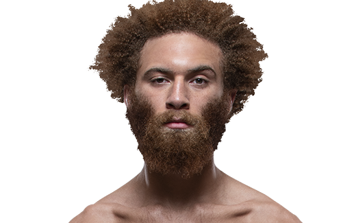 Luis Pena | UFC