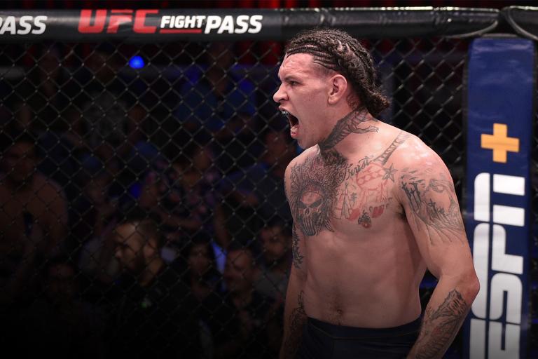 En pleine ascension : Édition Tampa | UFC