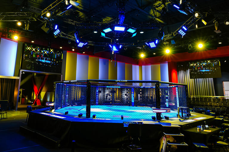 UFC Fight Night: Cannonier vs Borralho Prelim Results | Winner ...