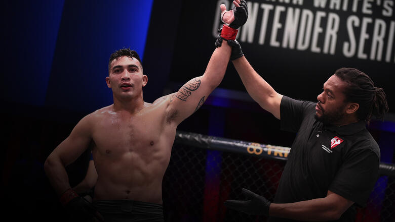 On The Rise: UFC 245 Edition | UFC