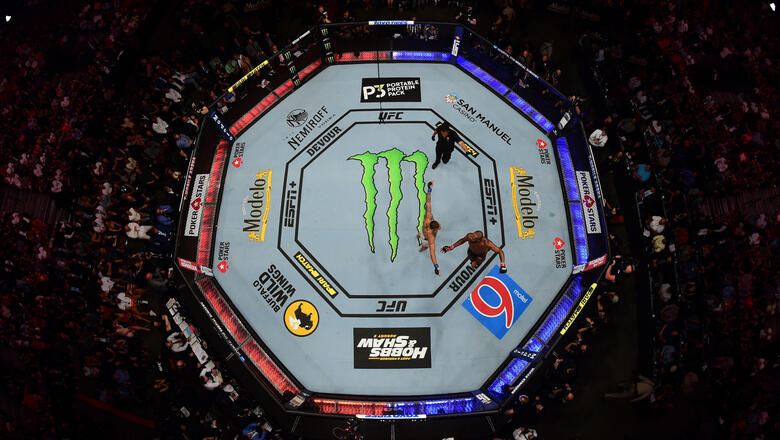 Statement on Fabricio Werdum | UFC