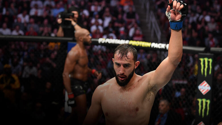 UFC 253 Where We Stand: Light Heavyweight | UFC