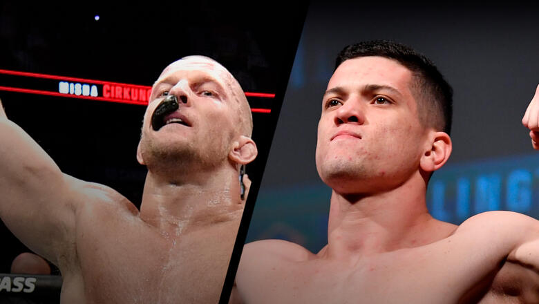 Co-Main Event Preview: Misha Cirkunov vs Wellington Turman | UFC Fight ...