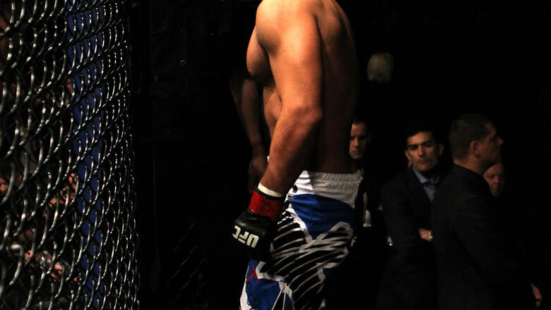 Swipe at 'illogical' fighting ban | UFC