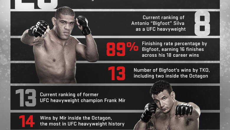 Fight Night Night Porto Alegre: By The Numbers Infographic | UFC