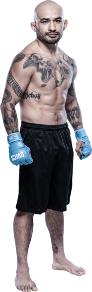 Watch MMA UFC Fight Live Stream