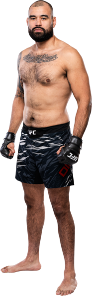 UFC 313: Pereira vs Ankalaev | UFC