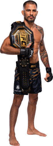 Tudo Sobre o UFC 301: Pantoja x Erceg | UFC