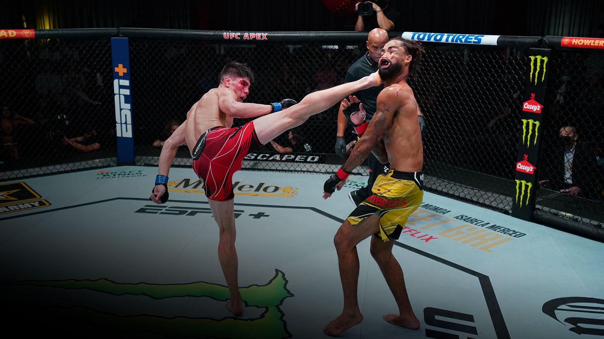 Ufc Fighter Kick