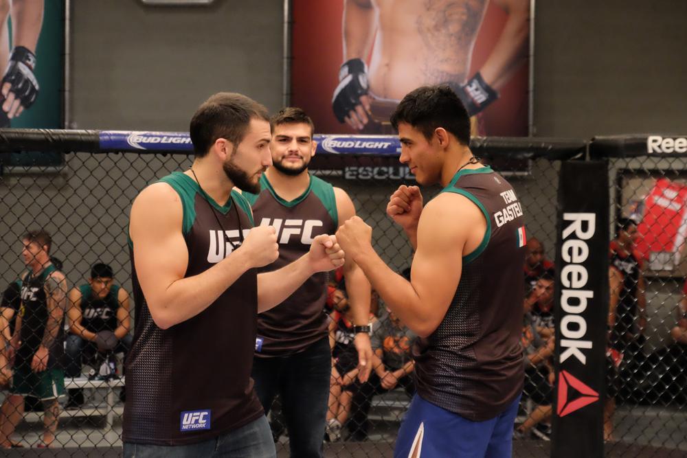 Fight Night Monterrey: The Ultimate Fighter Matchups | UFC